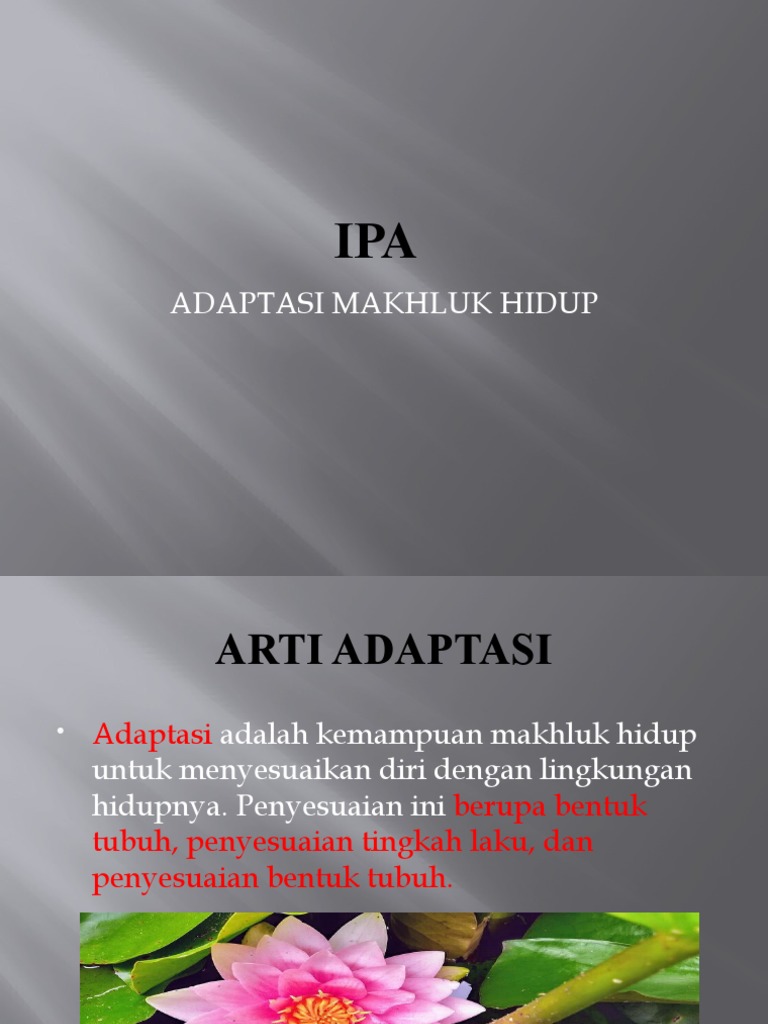 Adaptasi Tumbuhan: Hidrofit, Higrofit, Xerofit | PDF