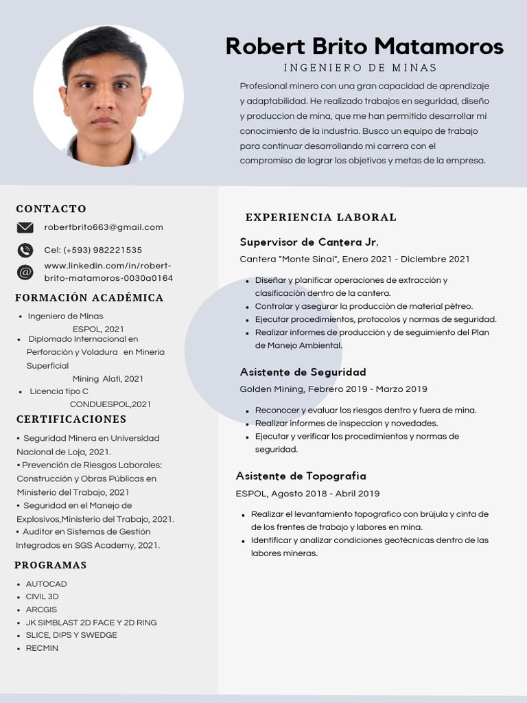 Perfil Profesional de Robert Brito | PDF | Minería
