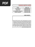 LLP Balance Sheet Template ICAI 2024 | PDF