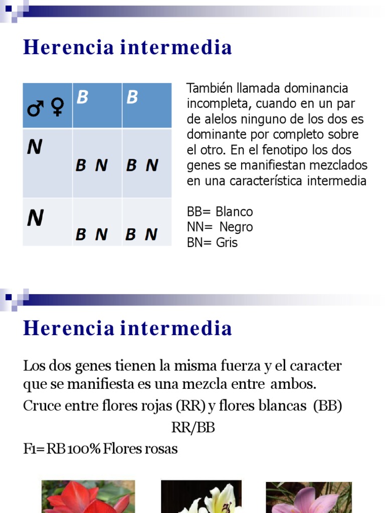 Unidad II Tema 3 Herencia Intermedia Codominancia Epistasis Ejercicios | Descargar gratis PDF ...