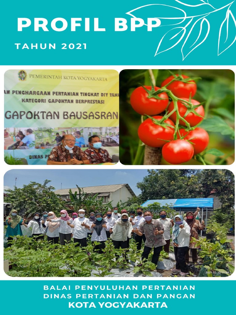 Profil BPP 5060 | PDF | Pengelolaan Keuangan & Uang | Ilmu Sosial