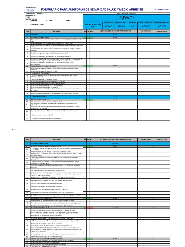Form. Auditoría HSE para Proveedores | PDF