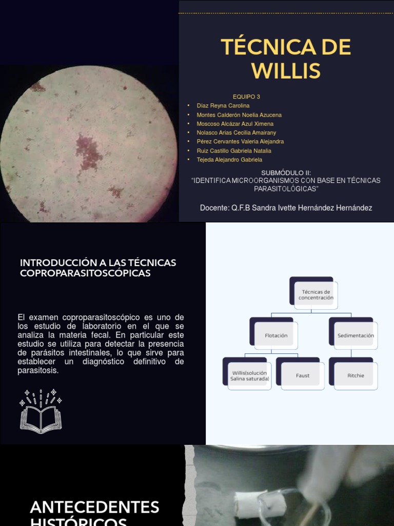 Técnica de Willis-PARASITOLOGÍA-Equipo 3 | PDF