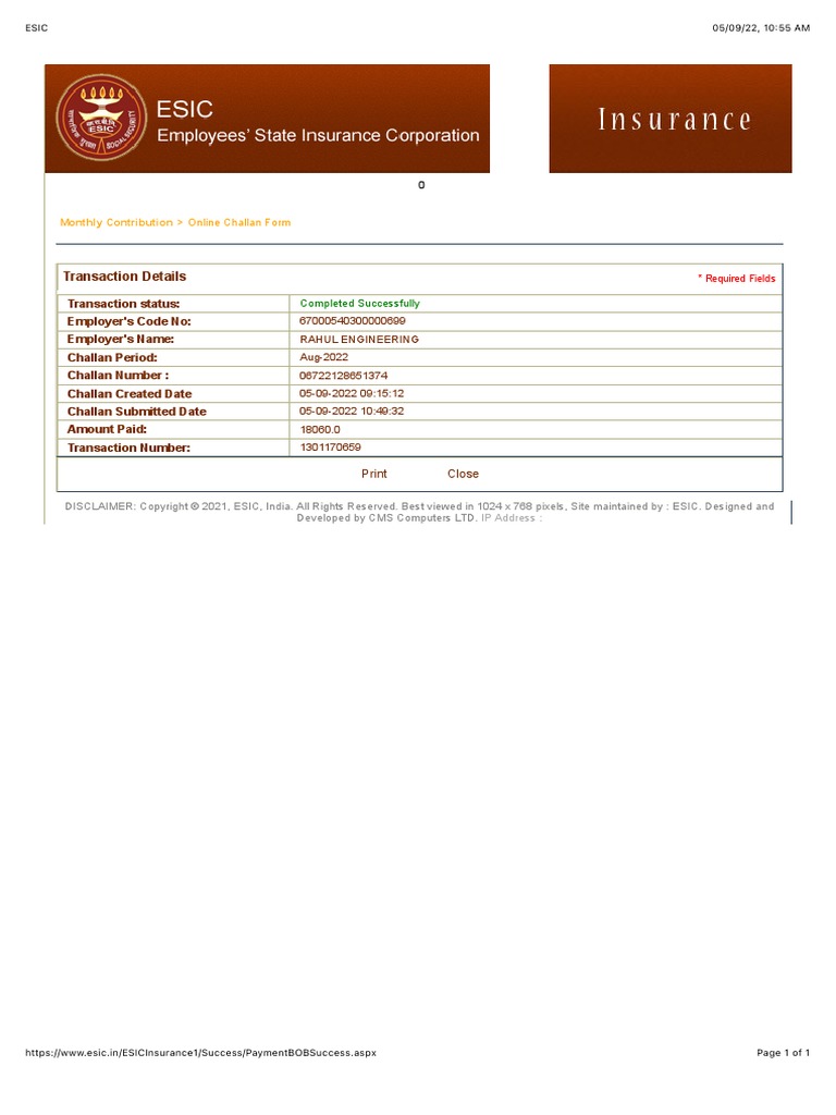ESIC | PDF | Business | Computers