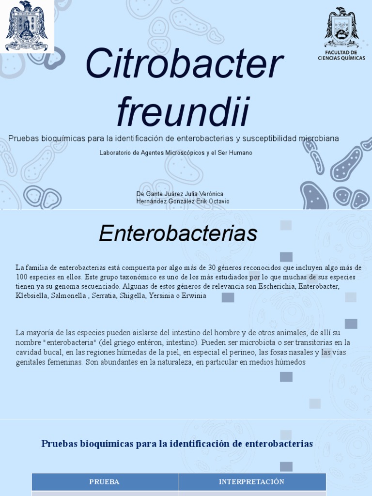 PRESENTACIÓN - Citrobacter Freundii | PDF | Microorganismo ...