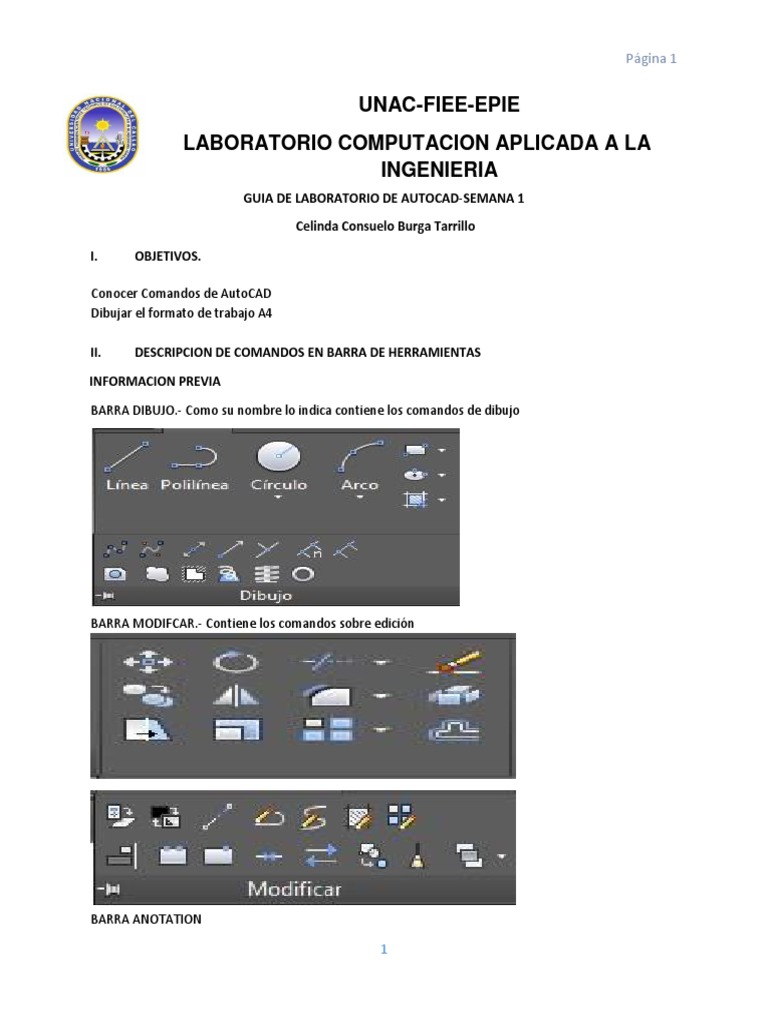 1RA SEMANA LAB - FORMATOS Celinda | PDF