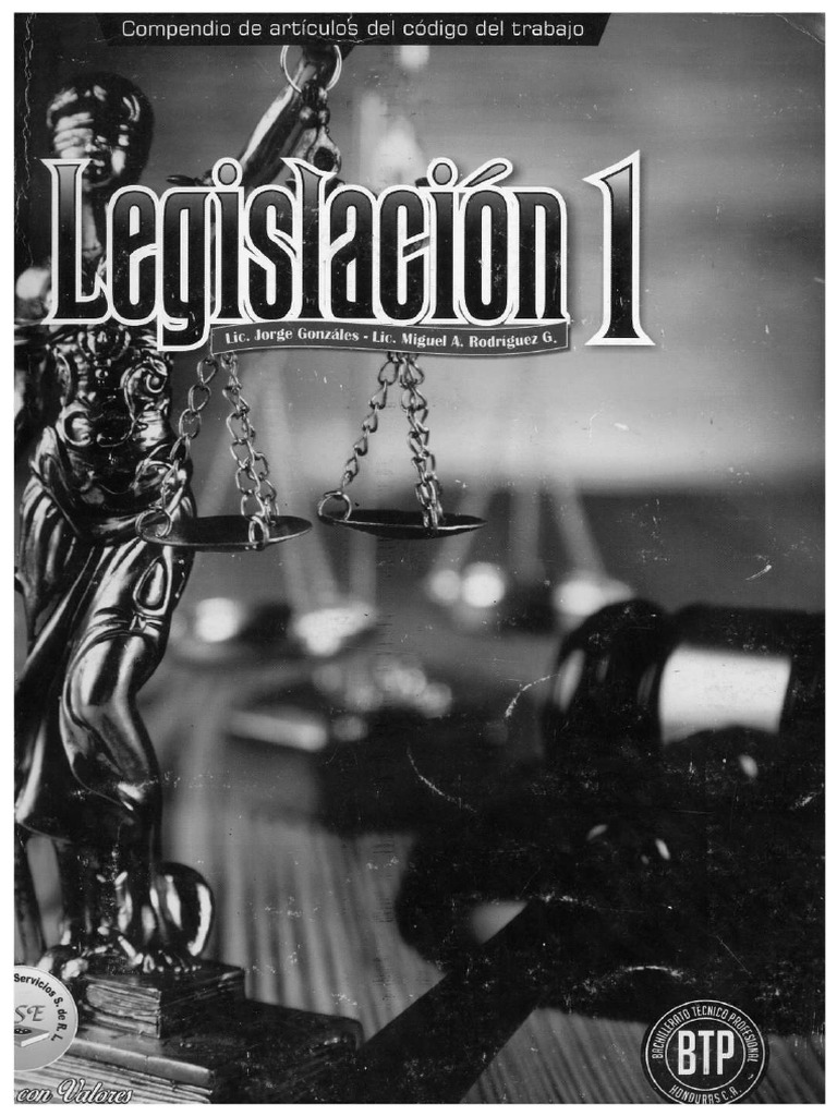 Libro de Legislacion - Compressed | PDF