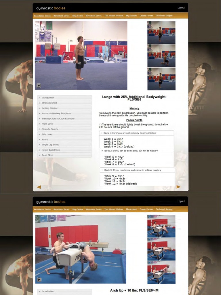 Mastering Gymnastic Strength Training. Foundation Four ( PDFDrive ) | PDF | Anatomical Terms Of ...
