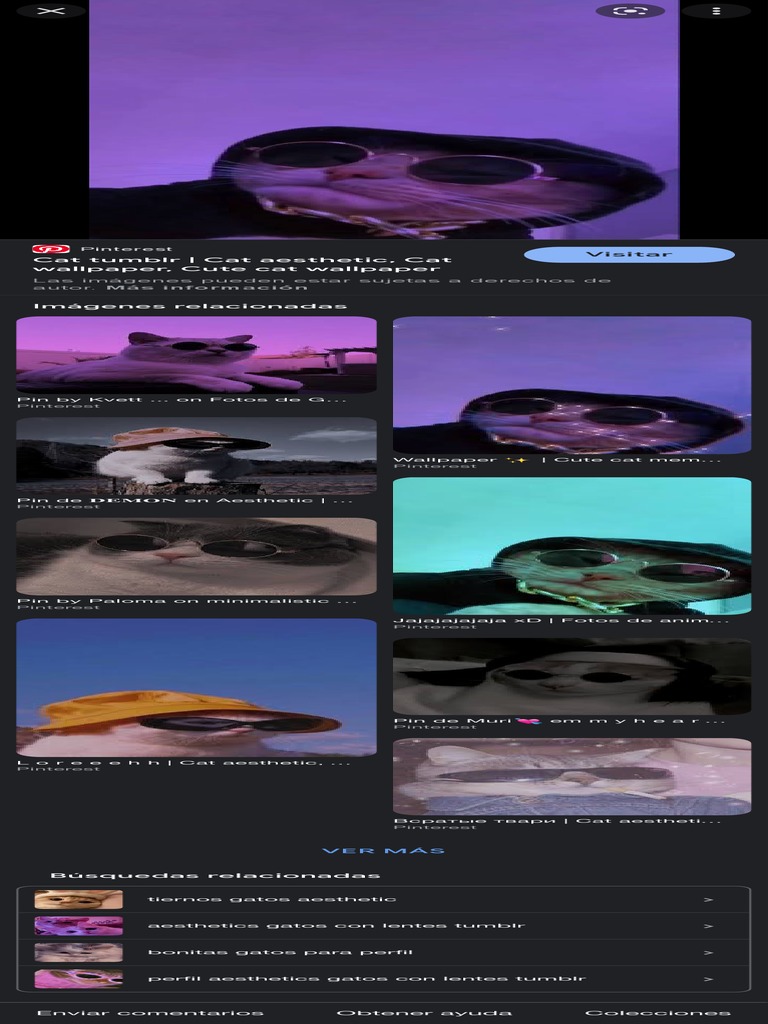 Fotos de Animales Con Flow - Búsqueda de Google | PDF