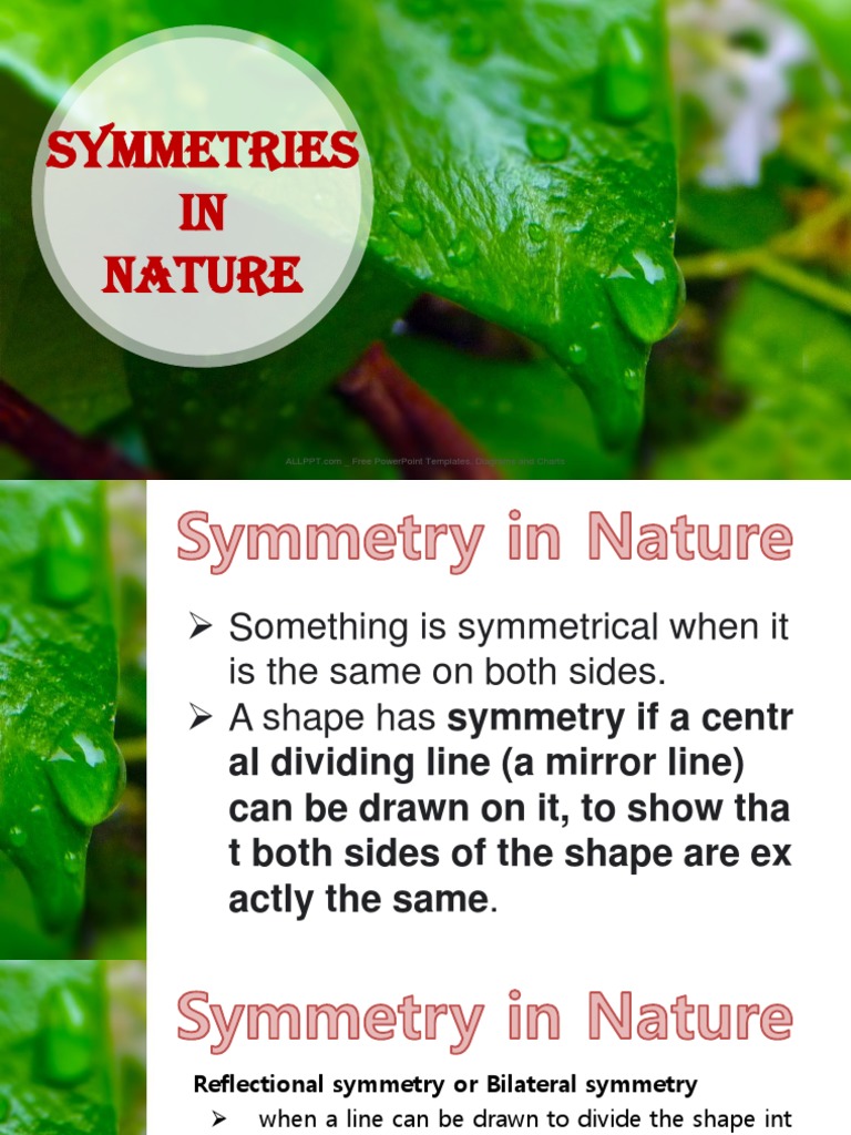 Symmetries in Nature | PDF