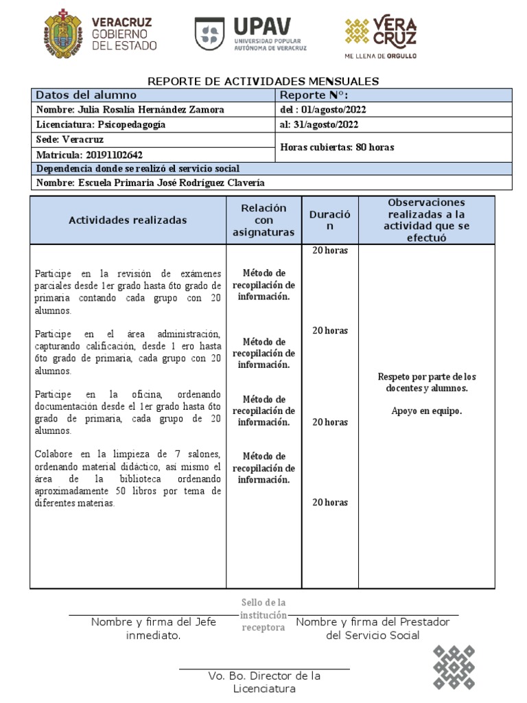 Formato SS-04 Reporte Mensual #6 | PDF
