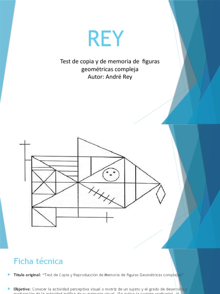 Test de Rey | PDF | Memoria | Dibujo