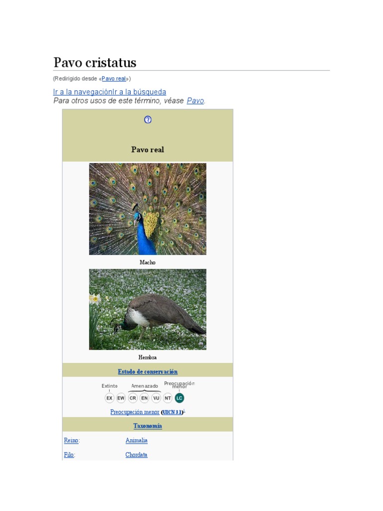 Pavo Cristatus | PDF