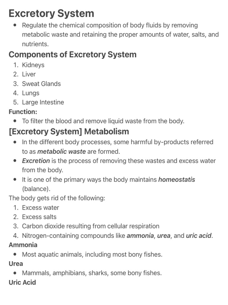 Excretory System | PDF