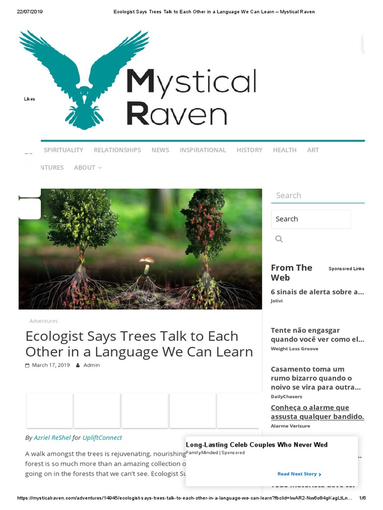 Ecologist Says Trees Talk To Each Other in A Language We Can Learn ...