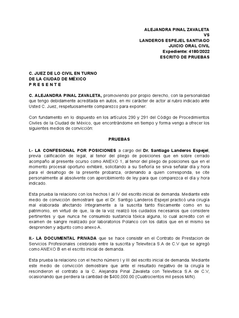 Escrito de Pruebas Civil | PDF | Ley procesal | Testigo experto Escrito de Pruebas Civil | PDF | Ley procesal | Testigo experto