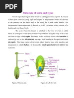 Types and Features of Endosperm | PDF | Seed | Organisms