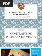 Carta Instruccion Notarial Muy Completa PDF | PDF | Gobierno | Justicia