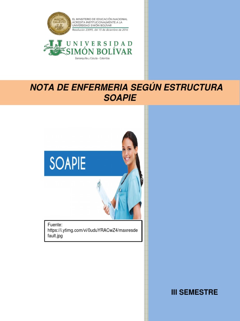 Nota de Enfermeria Según Estructura Soapie | PDF