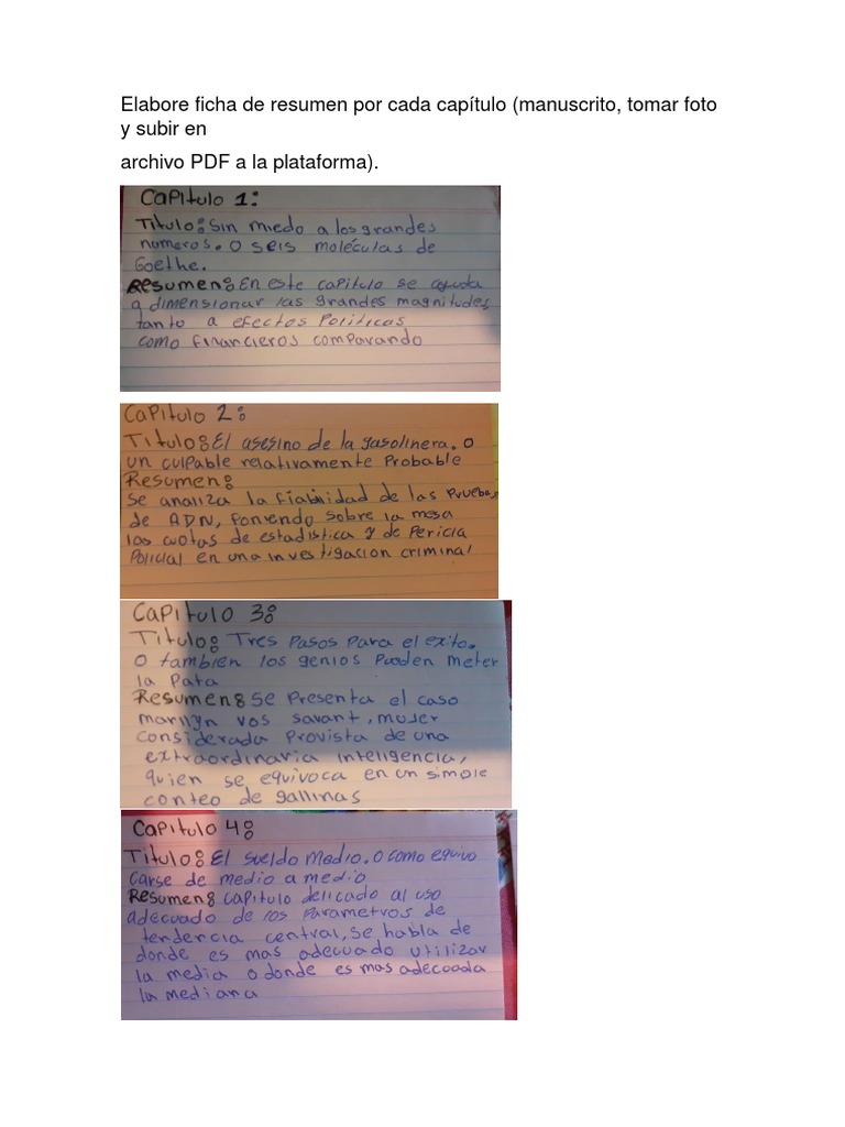 Ficha de Resumen de Capitulos | PDF