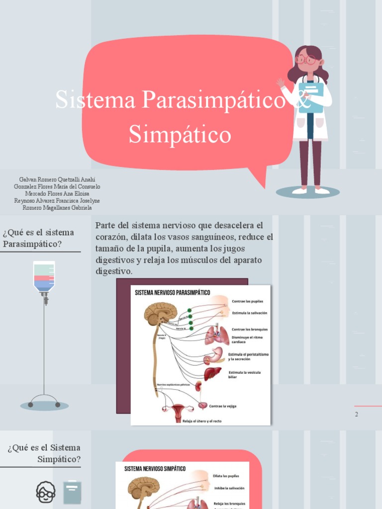 Sistema Nerviosos Simpatico y Parasimpatico | PDF