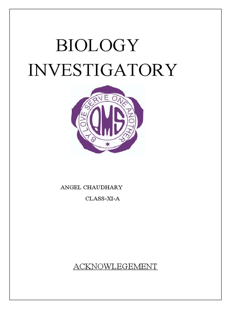 Drug Addiction Investigatory Project | PDF | Substance Abuse | Alcoholism