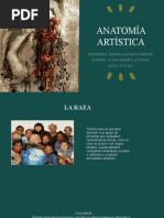 Características de los Caucásicos | PDF | Gente blanca | Tipología ...