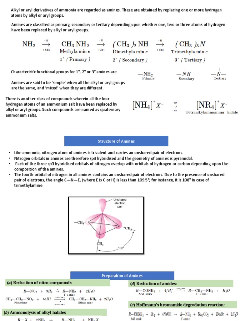 Amines | PDF | Amine | Physical Chemistry