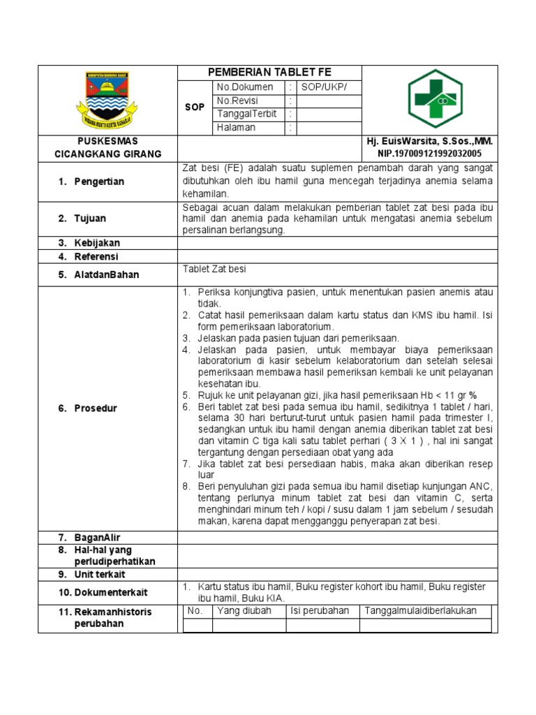 Pemberian Tablet Fe | PDF