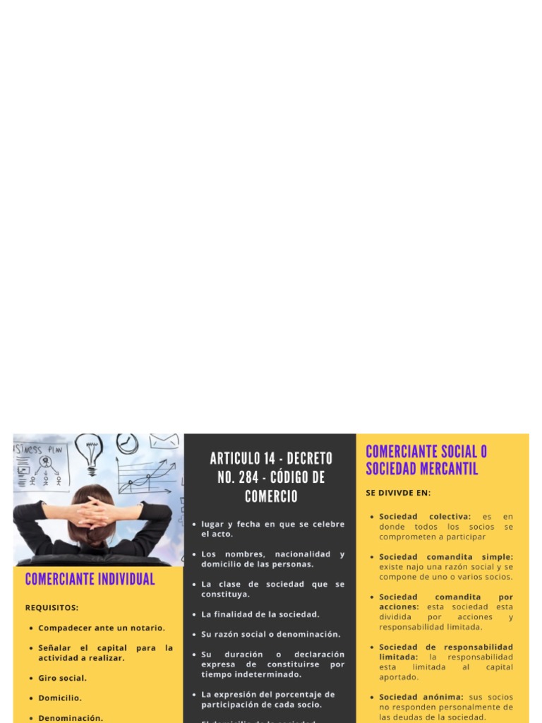 Panfleto Informativo Sobre Requisitos para Formar Una Empresa en ...
