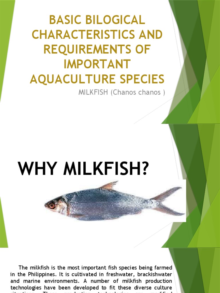 Milkfish | PDF | Spawn (Biology) | Aquaculture