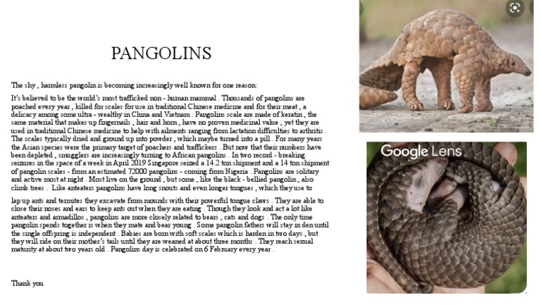 Science Project 2 | PDF