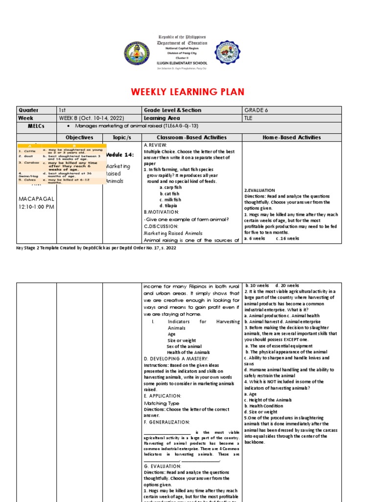 Wlp-Tle-Afa-Week 8 10.10.22 | PDF | Meat | Animal Slaughter