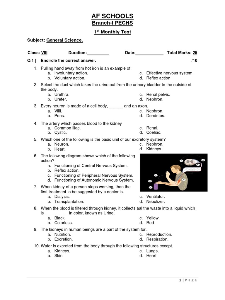 Class 8 Science - 1st Monthly | PDF | Kidney | Human Body