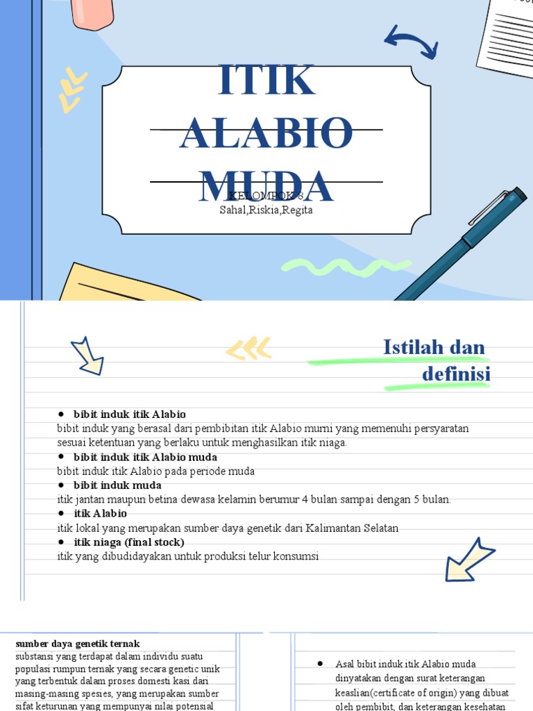 Itik Alabio Muda | PDF