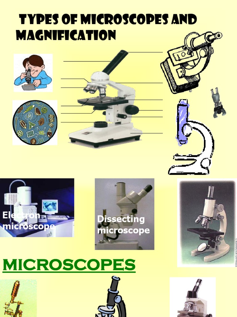 Types of Microscope and Magnification | PDF | Microscope | Optics