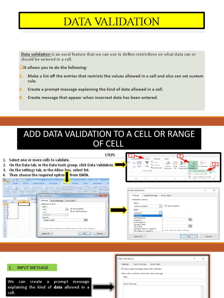 Data Validation | PDF