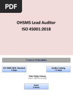 ISO 45001 2018 Process Map Sample | PDF | Audit | Auditor's Report
