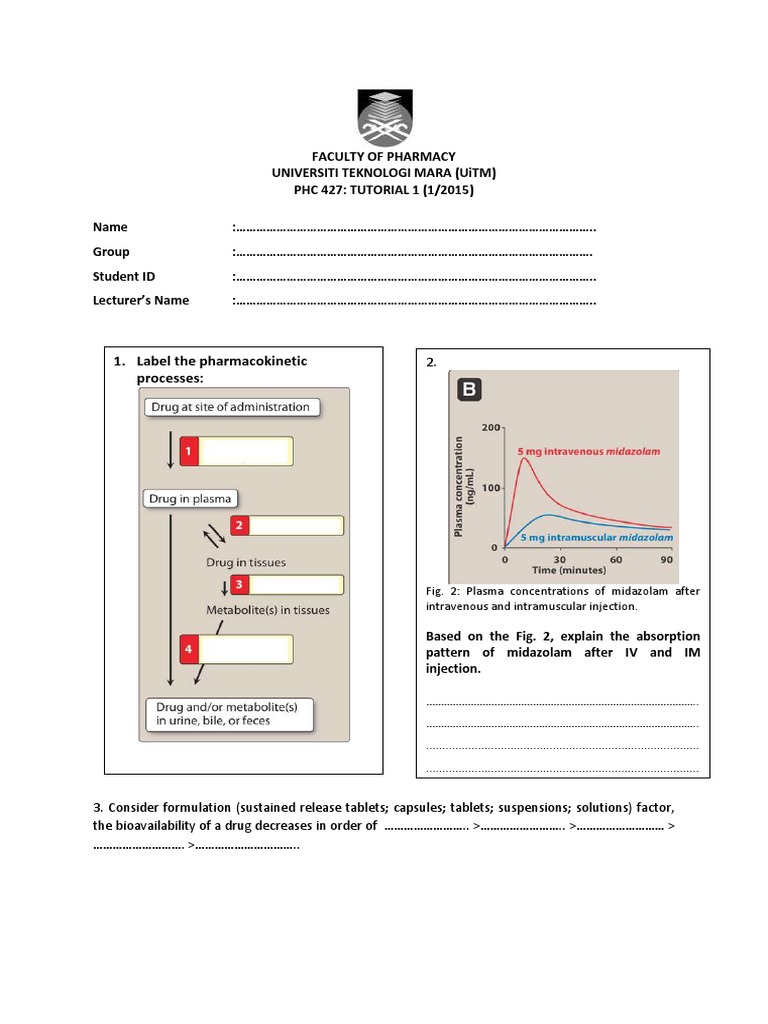 Understanding Pharmacokinetic Processes: A Tutorial on Absorption ...