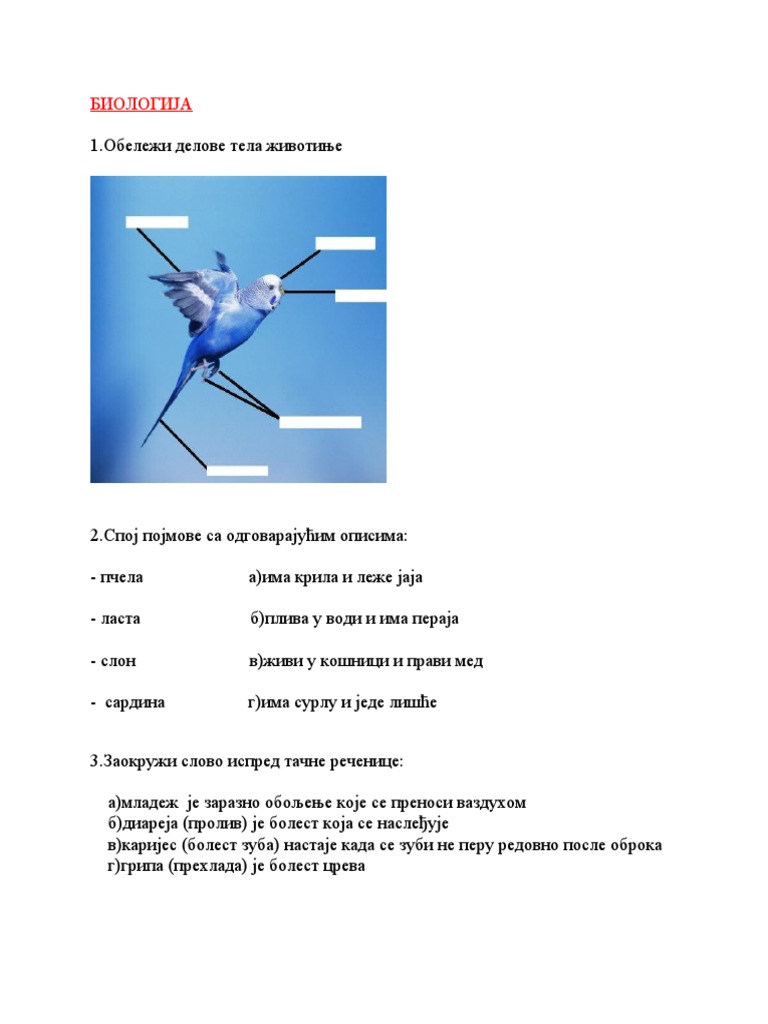Primeri Zadataka Za Test Za Završni Ispit Po IOPu BIOLOGIJA | PDF
