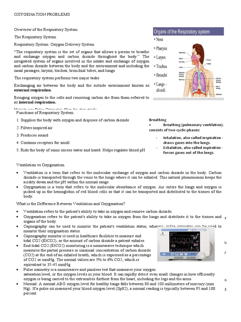 Medsurg Notes Pdf