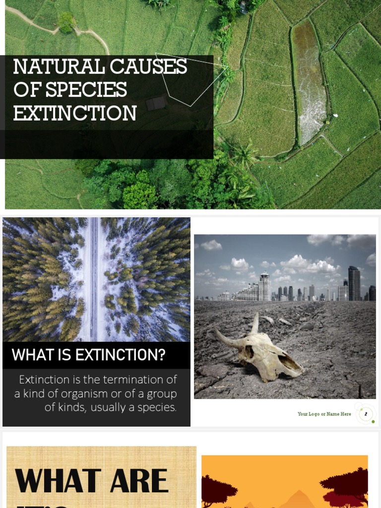NATURAL CAUSES OF SPECIES EXTINCTION Powerpoint | PDF | Extinction | Nature