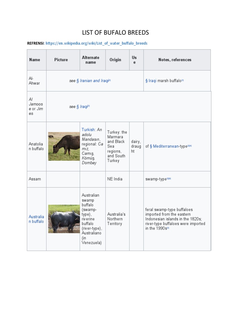 List of Bufalo Breeds | PDF | Bovines | Bovidae
