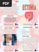 Estomas Intestinales | PDF | Abdomen | Gastroenterología