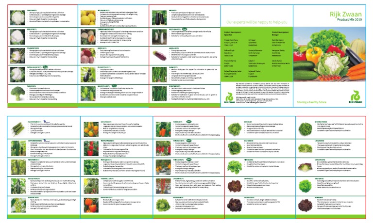 Rijk Zwaan Crop Folder-1 | PDF