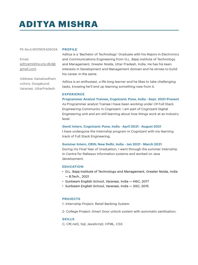 Mishra Aditya | PDF | Software Development | Software Engineering