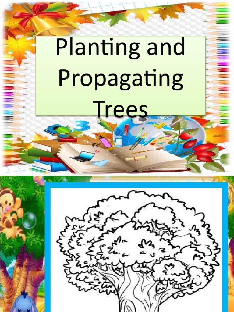 Q1 Agre.6 W1 | PDF | Trees | Soil