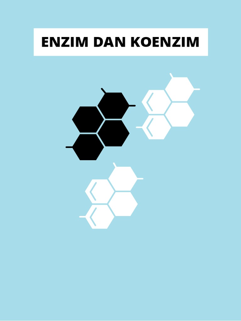 Modul Enzim Dan Koenzim | PDF
