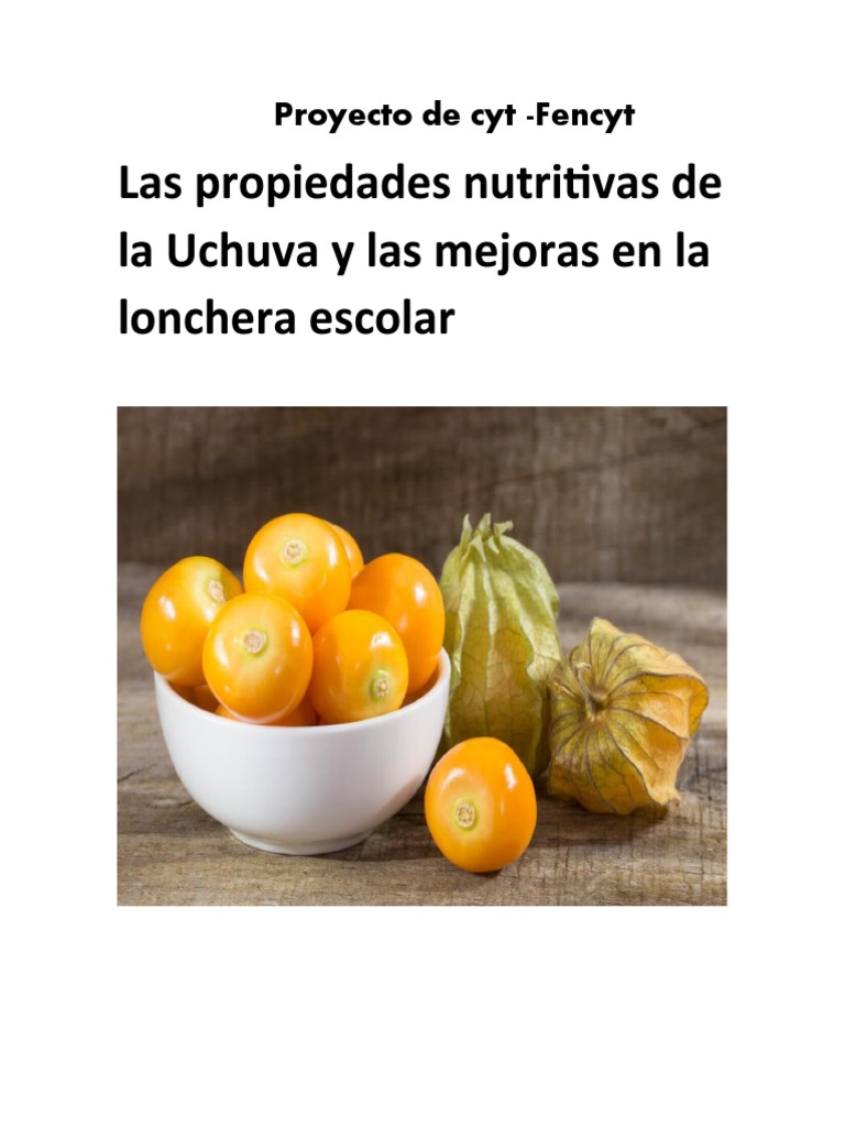 Proyecto de Cyt | PDF