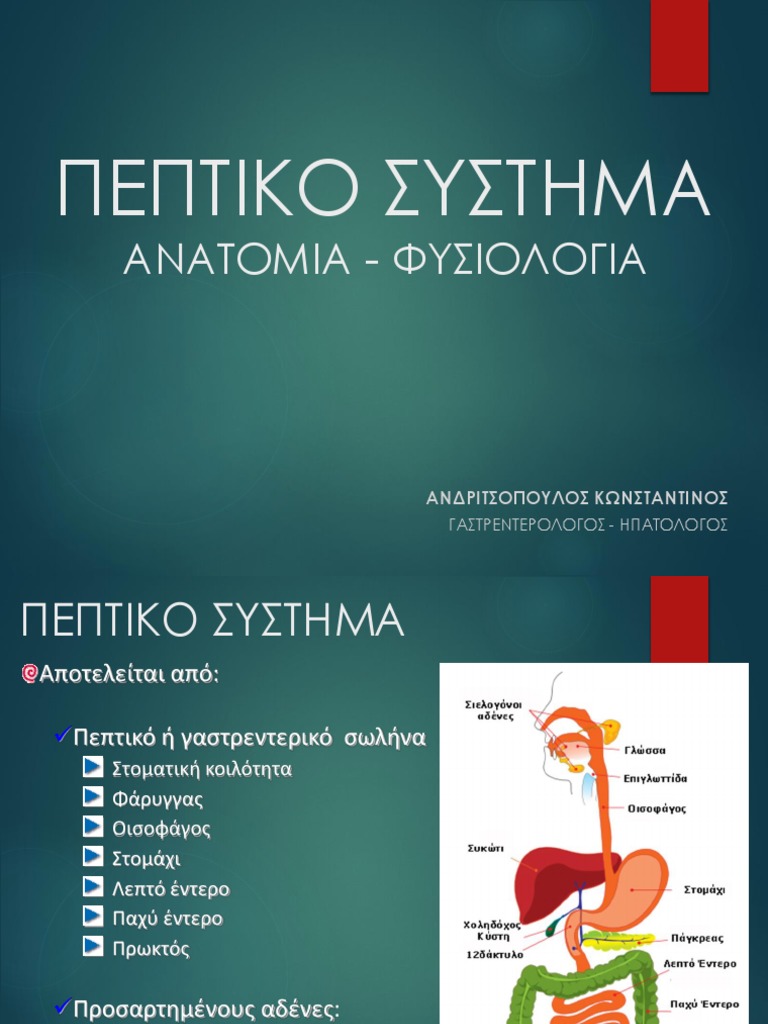 6o ΜΑΘΗΜΑ - ΠΕΠΤΙΚΟ ΣΥΣΤΗΜΑ ΑΝΑΤΟΜΙΑ - ΦΥΣΙΟΛΟΓΙΑ (Α' 6ΜΗΝΟ) | PDF